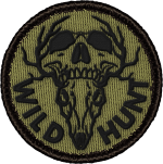 Code Name: Wild Hunt – D.A. Roberts – Author