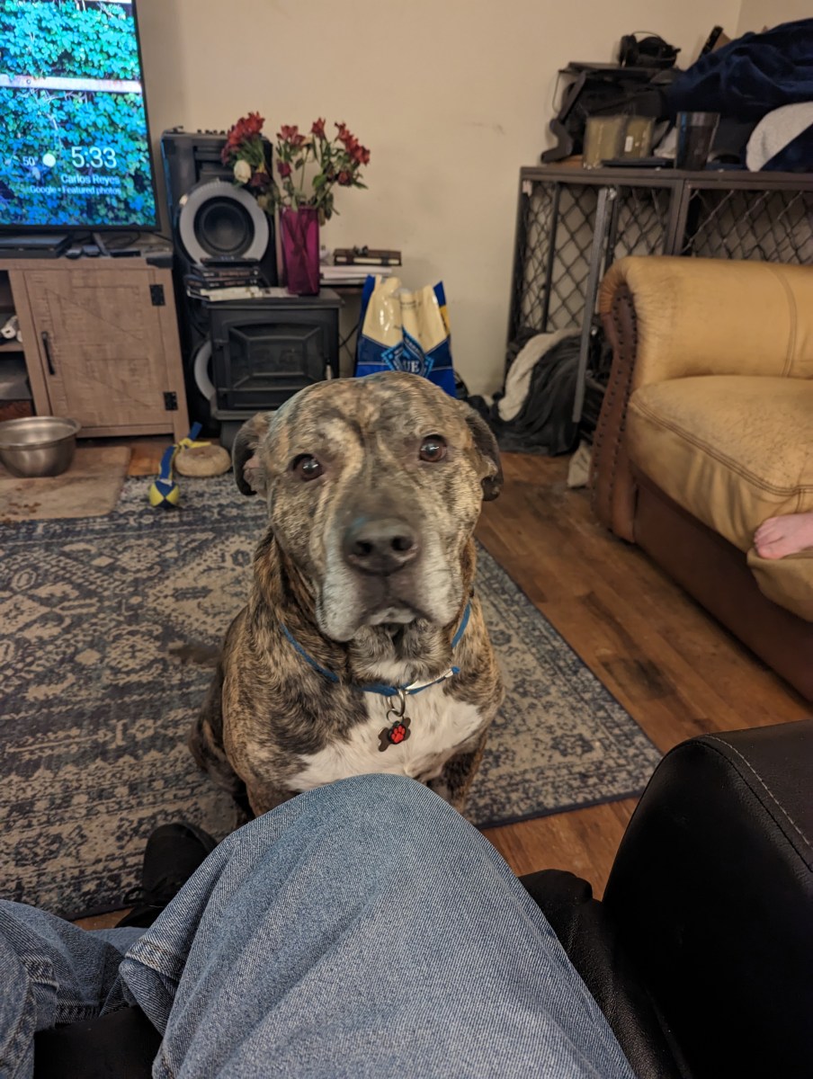 The Journey – 5/22/23 – D.A. Roberts – Author